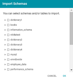 Defining a Database Schema